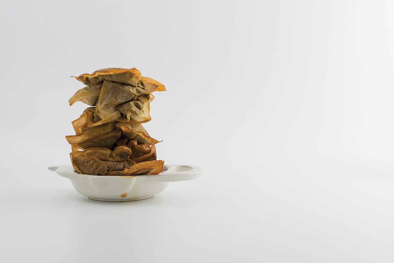 20 ways to reuse a tea bag (yes, really!) | ORGANIC INDIA